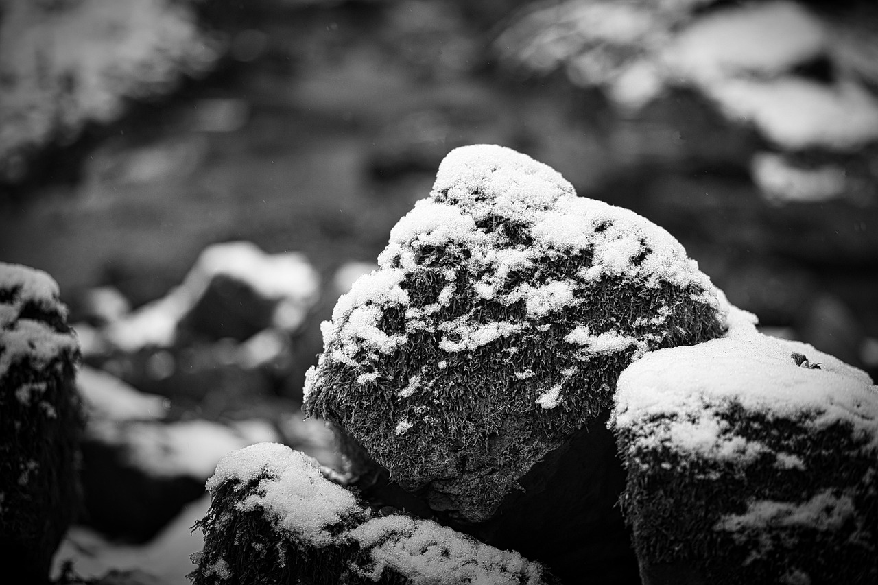 Stone Snow Winter - Free photo on Pixabay - Pixabay