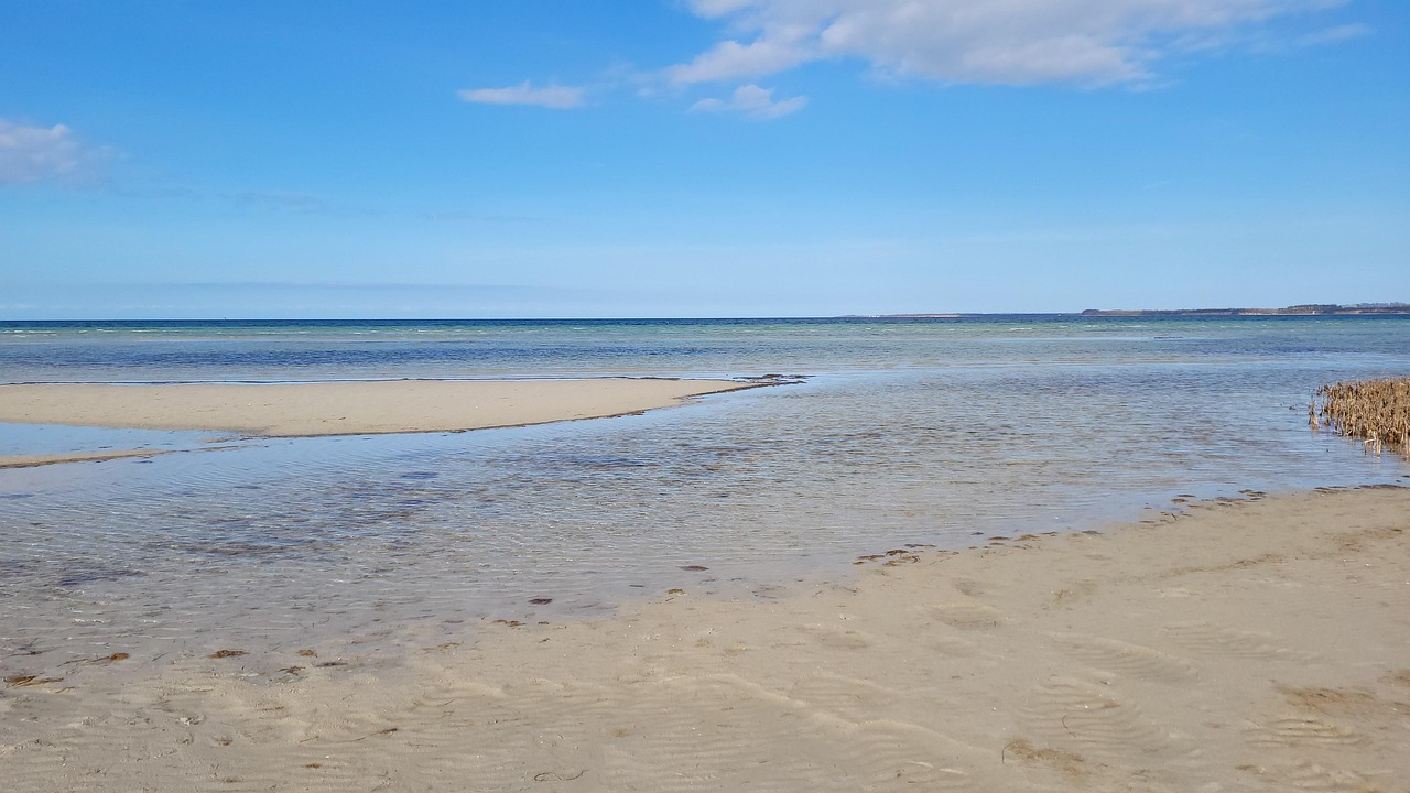 Østersøen Hav Strand - Gratis foto på Pixabay - Pixabay