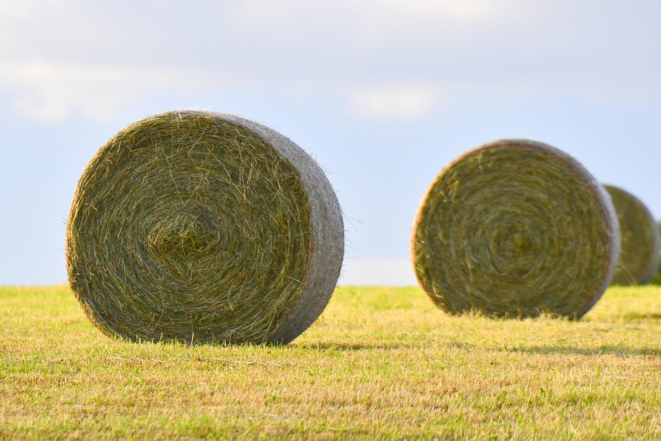 Hay Bales Straw - Free photo on Pixabay - Pixabay