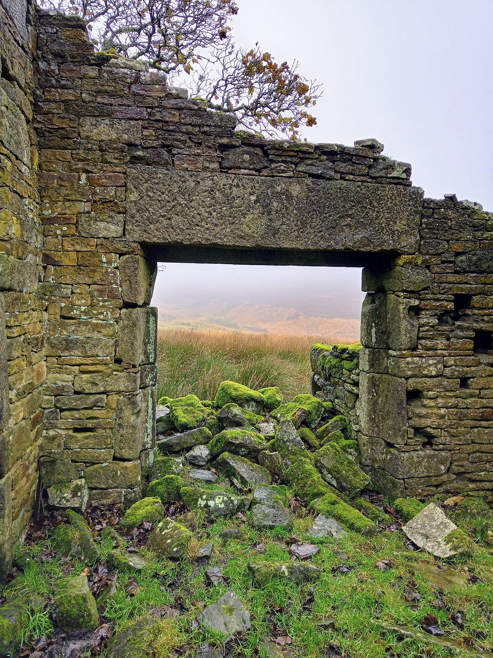Ruin Barn Calderdale - Free photo on Pixabay - Pixabay