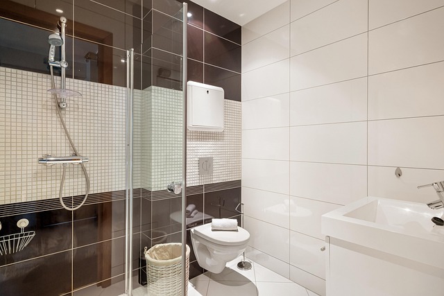 Cuarto De Baño Inodoro Ducha - Foto gratis en Pixabay - Pixabay