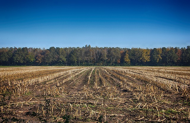 Field Farm Nature - Free photo on Pixabay