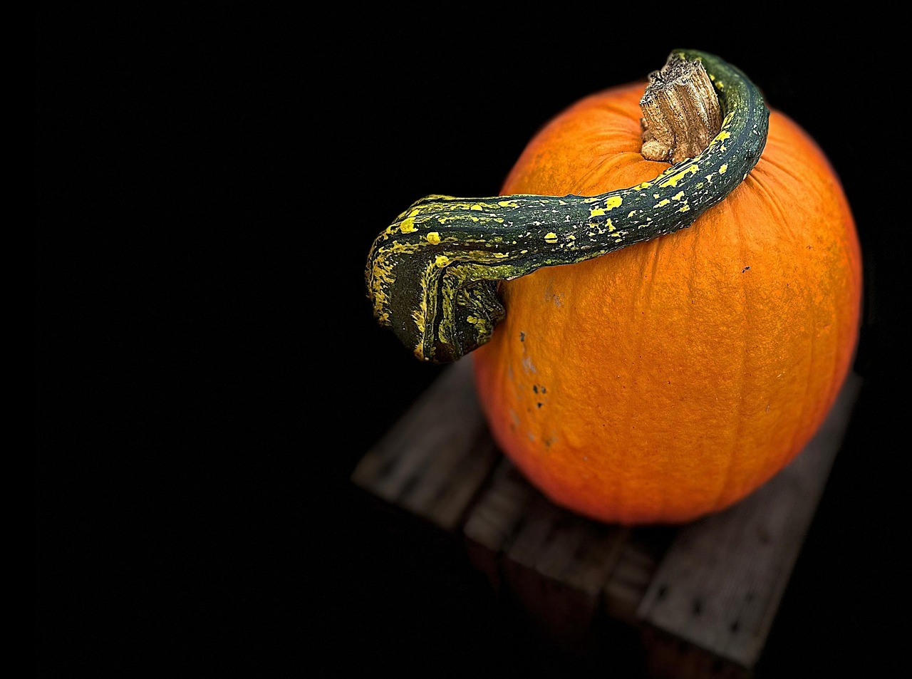 Calabaza Aplastar Vegetal - Foto gratis en Pixabay