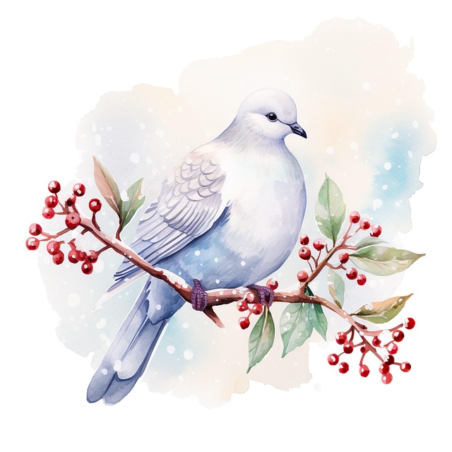 Plus de 100 000 images de Colombe Dessin et de Colombe - Pixabay
