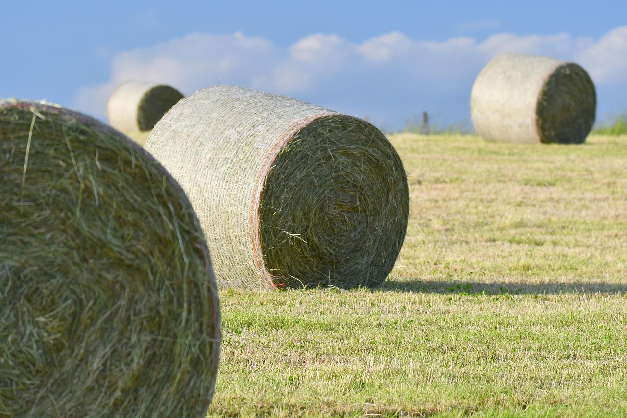 Hay Bales Straw Field - Free photo on Pixabay - Pixabay