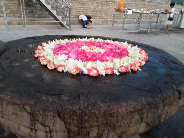 Offering Flower Buddhism Sri - Free photo on Pixabay - Pixabay