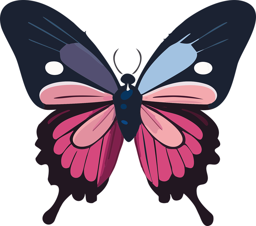 Download Butterfly, Pink Butterfly, Blue Buttrefly. Royalty-Free Vector ...