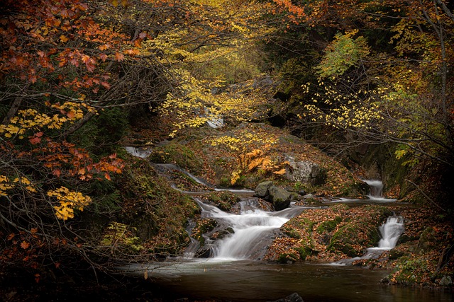20,000+ Free Autumn Waterfall & Waterfall Images - Pixabay