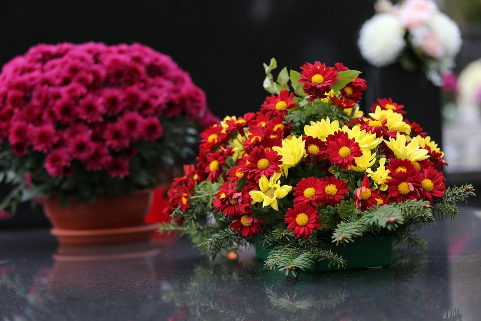 Flower Arrangements All Souls Day - Free photo on Pixabay - Pixabay