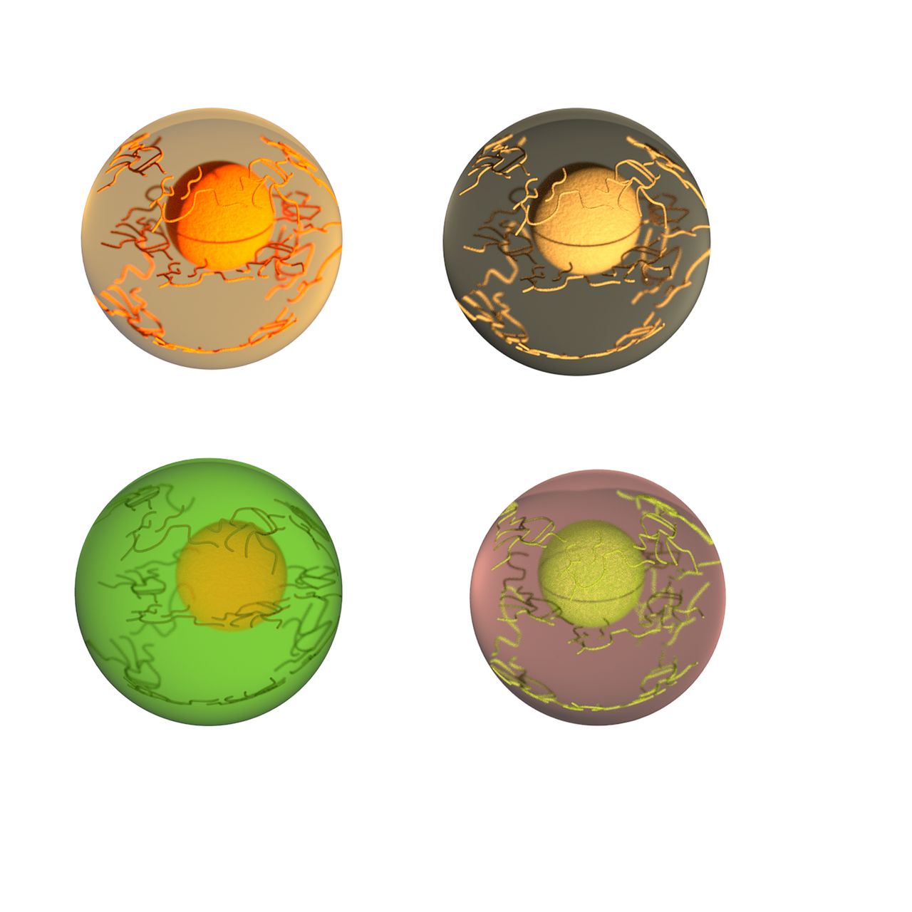 Más de 30 ilustraciones de Membrana Plasmatica y Membrana gratis - Pixabay