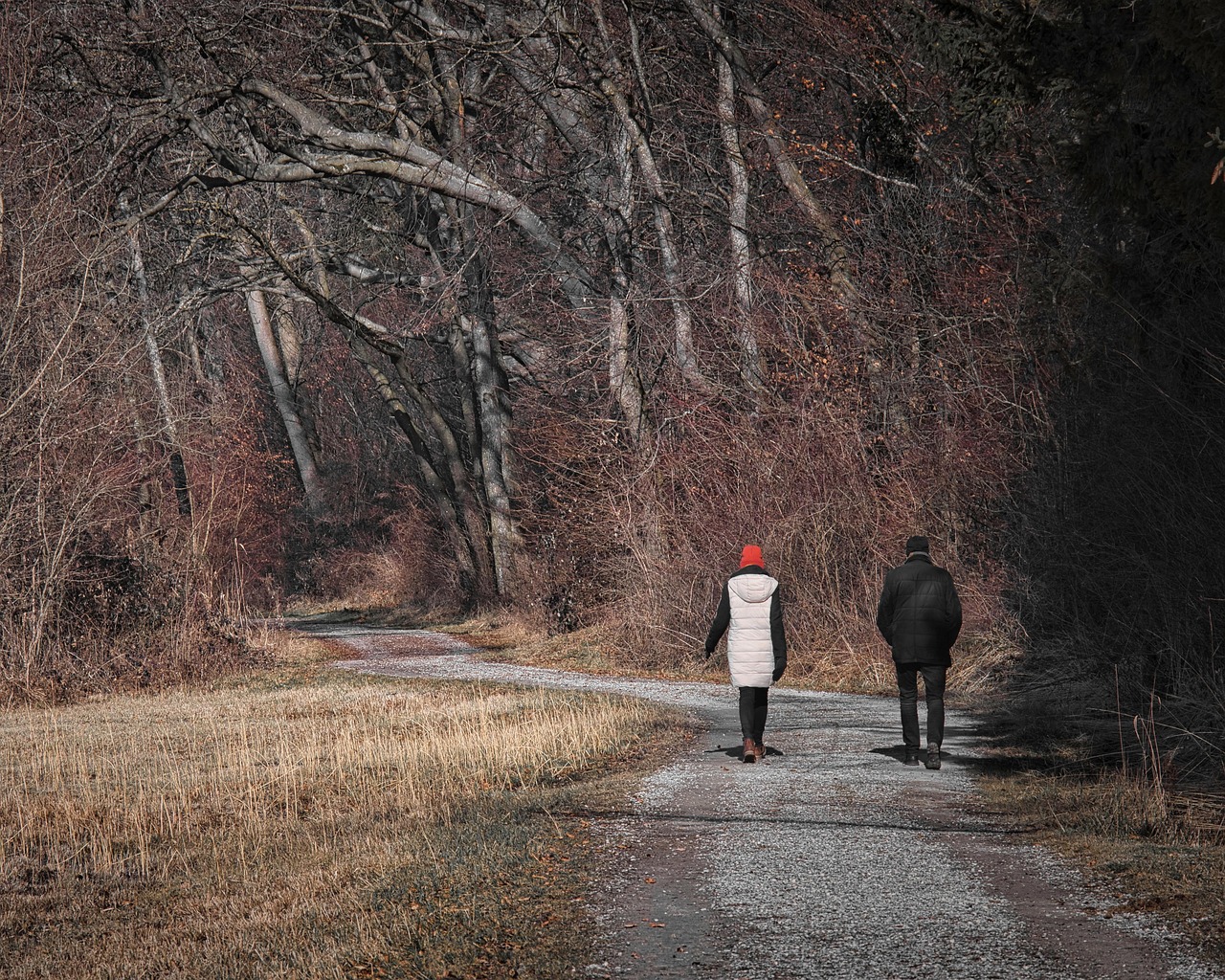Few People Forest Path - Free photo on Pixabay - Pixabay