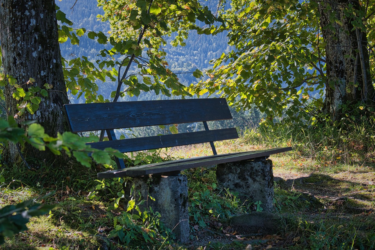 Bench Bank The Shade Resting - Free photo on Pixabay - Pixabay