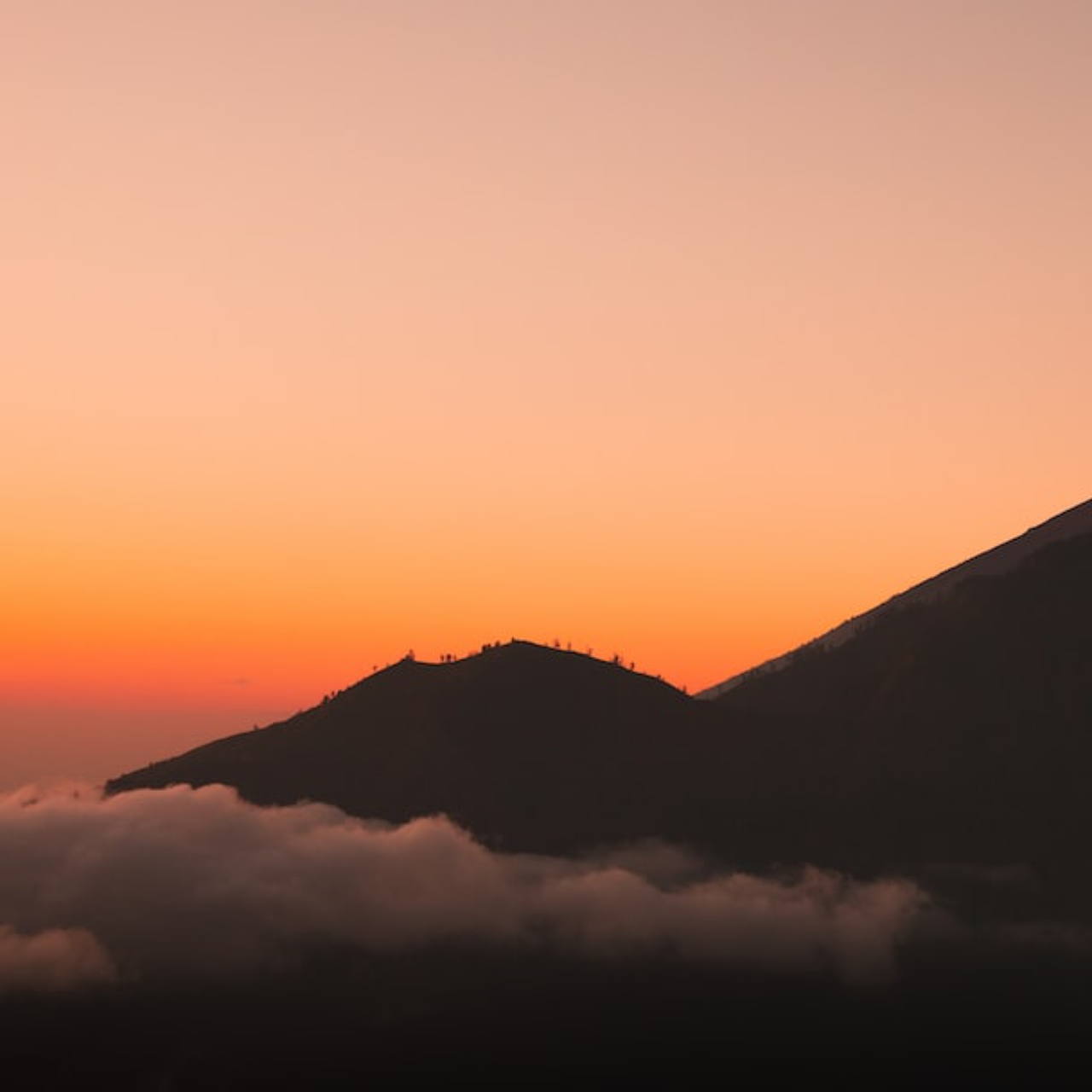 Nature Sounds 4K - Free photo on Pixabay - Pixabay