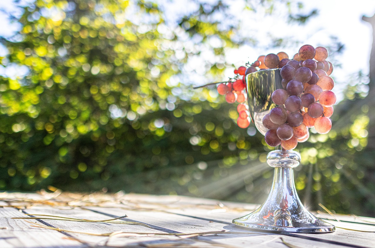 Background Brunch Chalice - Kostenloses Foto auf Pixabay - Pixabay