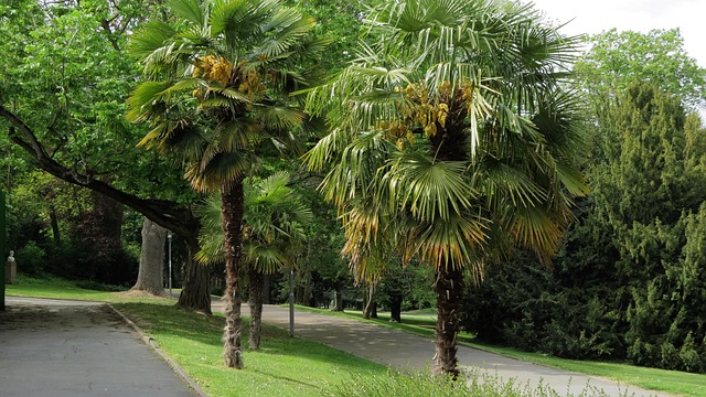 Parque Área Verde - Foto gratuita no Pixabay - Pixabay