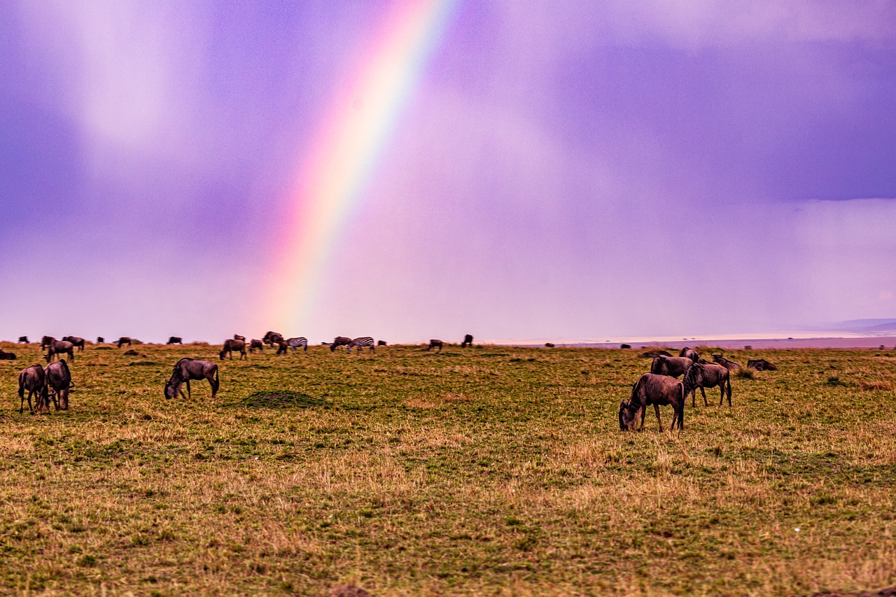 Wild Wildlife Animals - Free photo on Pixabay - Pixabay