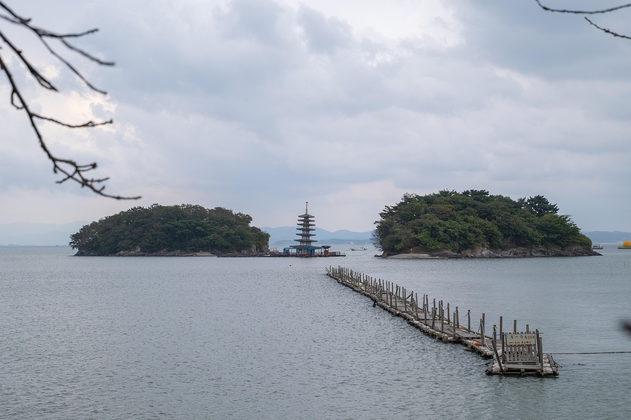 Ocean Tree Island - Free photo on Pixabay - Pixabay