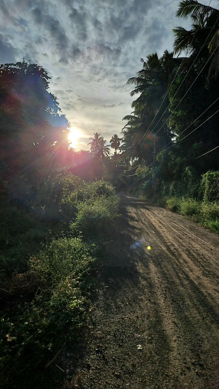 Sunset Nature Light - Free photo on Pixabay - Pixabay