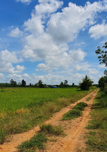 Countryside Northeast Buriram - Free photo on Pixabay - Pixabay