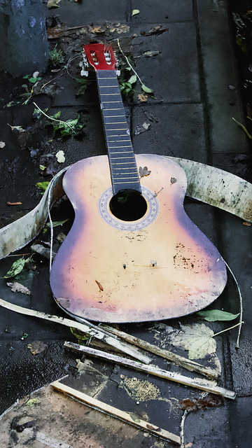 Download Guitar, Destroyed, Abandoned. Royalty-Free Stock Illustration ...