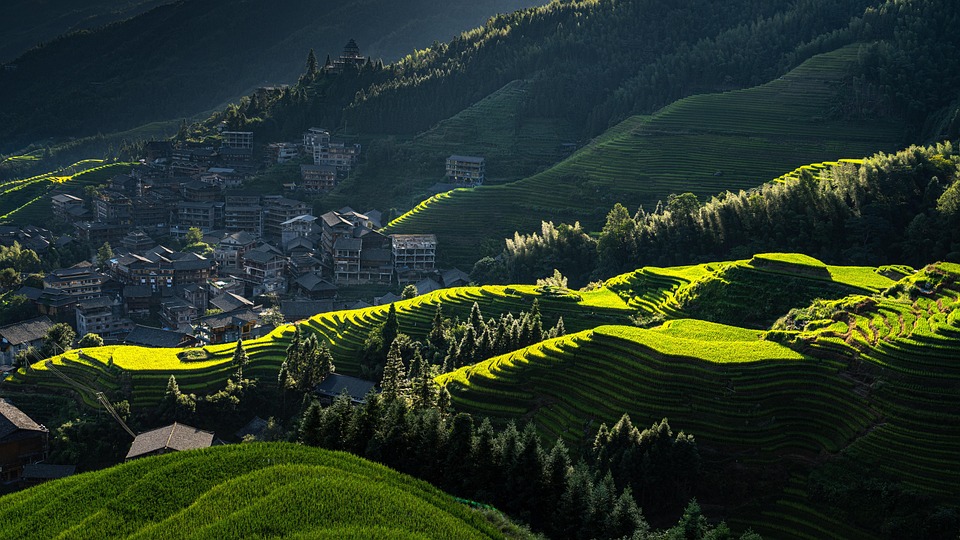Longji Rice Terraces - Free photo on Pixabay