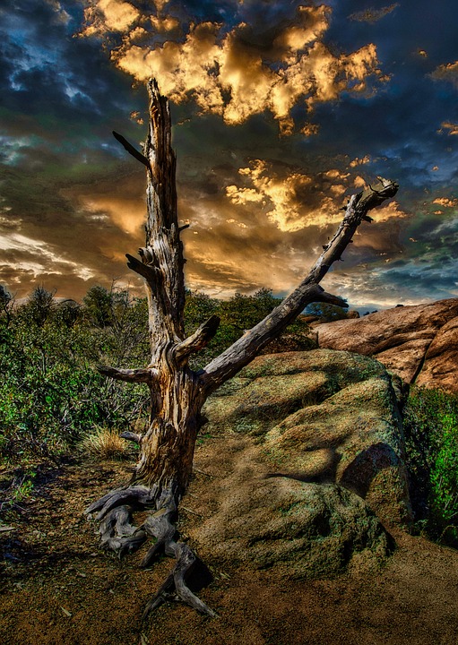 Spooky Sky Clouds - Free photo on Pixabay - Pixabay