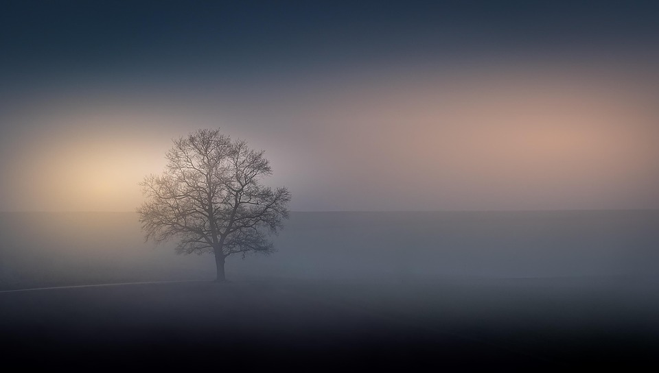 Download Mood, Fall, Fog. Royalty-Free Stock Illustration Image - Pixabay