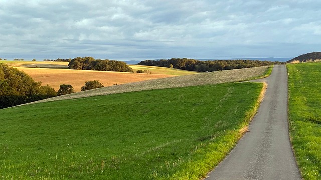 Landscape Nature Path - Free photo on Pixabay - Pixabay Landscape Nature Path - Free photo on Pixabay - Pixabay
