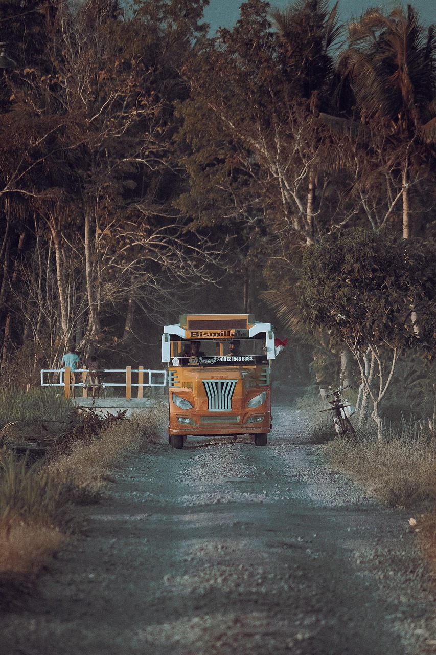 La Nature Portrait Le Transport - Photo gratuite sur Pixabay - Pixabay