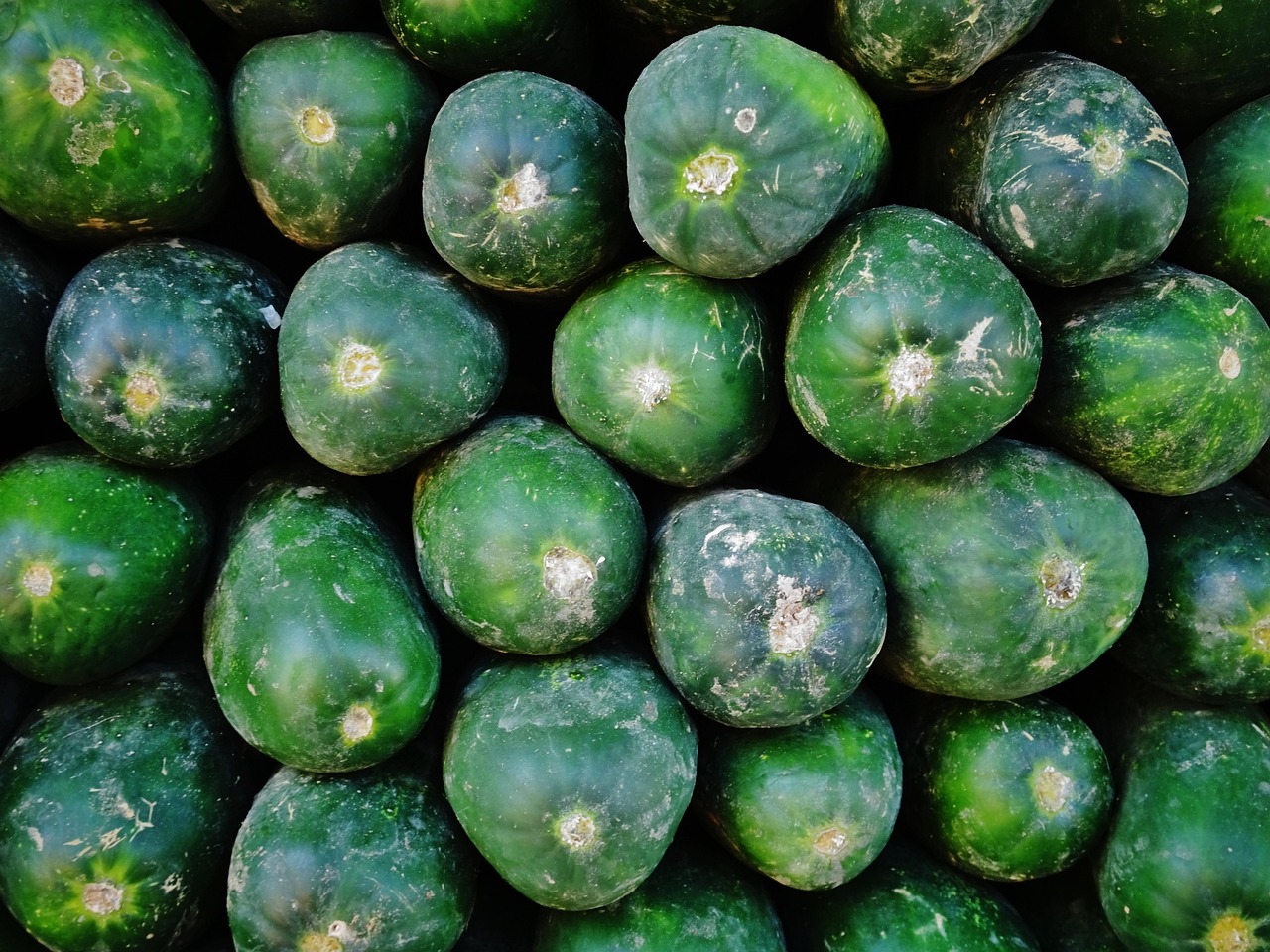 Concombre Produire Fruit Des - Photo gratuite sur Pixabay - Pixabay