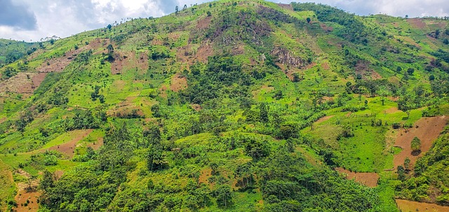 Bunyakiri Kelehe Sud-Kivu - Photo gratuite sur Pixabay - Pixabay