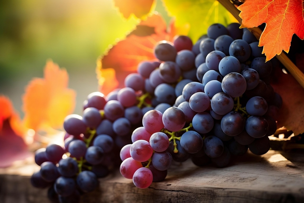 Download Ai Generated, Grapes, Fruits. Royalty-Free Stock Illustration ...