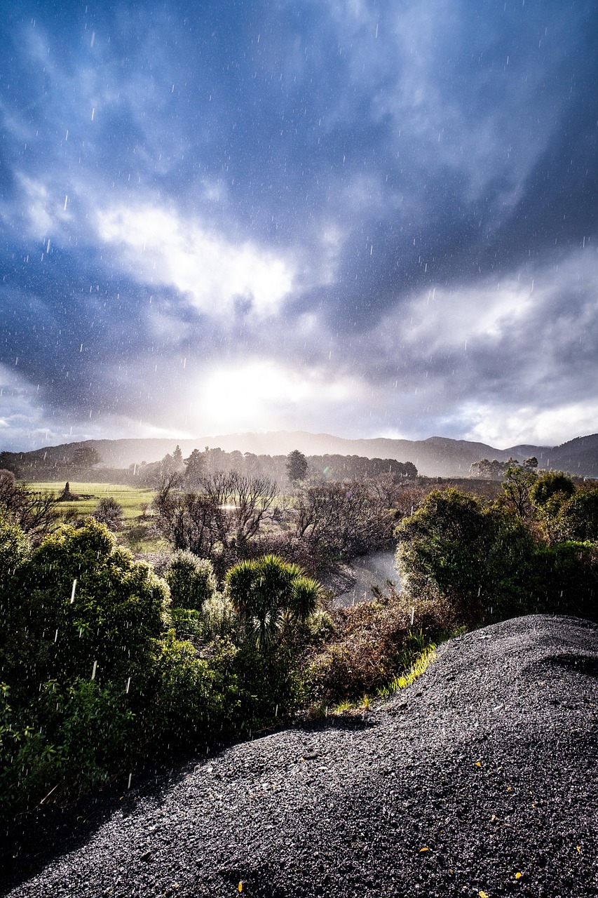 New Zealand Kaitoke Regional Park - Free photo on Pixabay - Pixabay