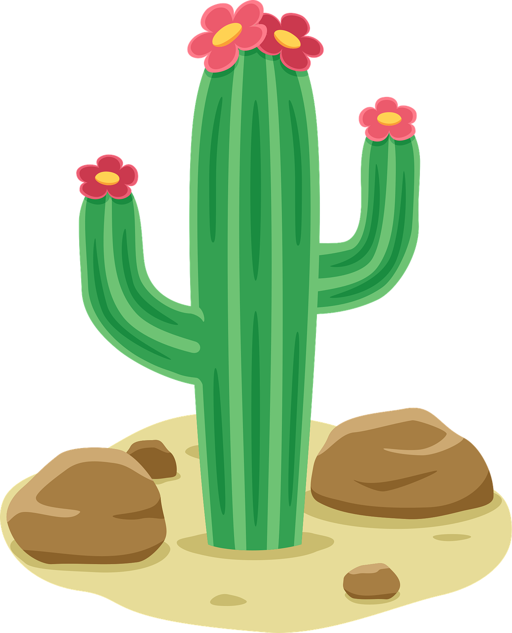 Download Cactus Desert Cactus Flower Royalty Free Vector Graphic