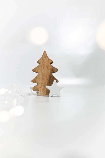 Christmas Tree Star Fir - Free photo on Pixabay - Pixabay