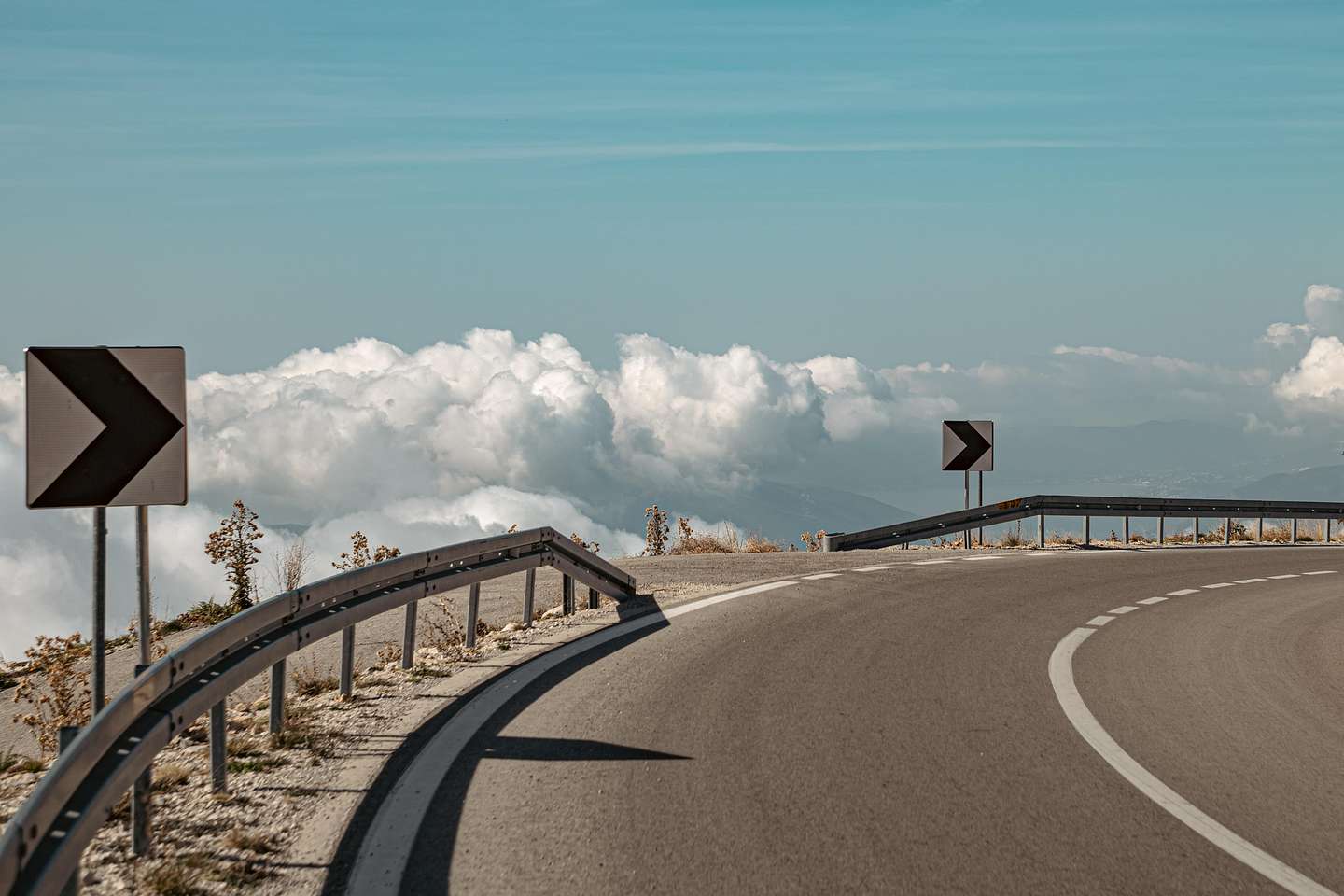 took_a_snap - Pixabay