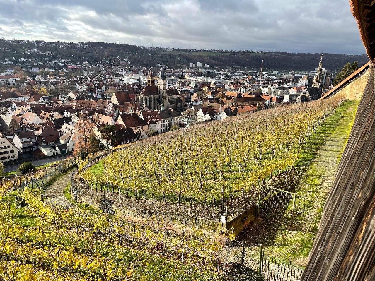 Wine Vineyard Landscape - Free photo on Pixabay - Pixabay