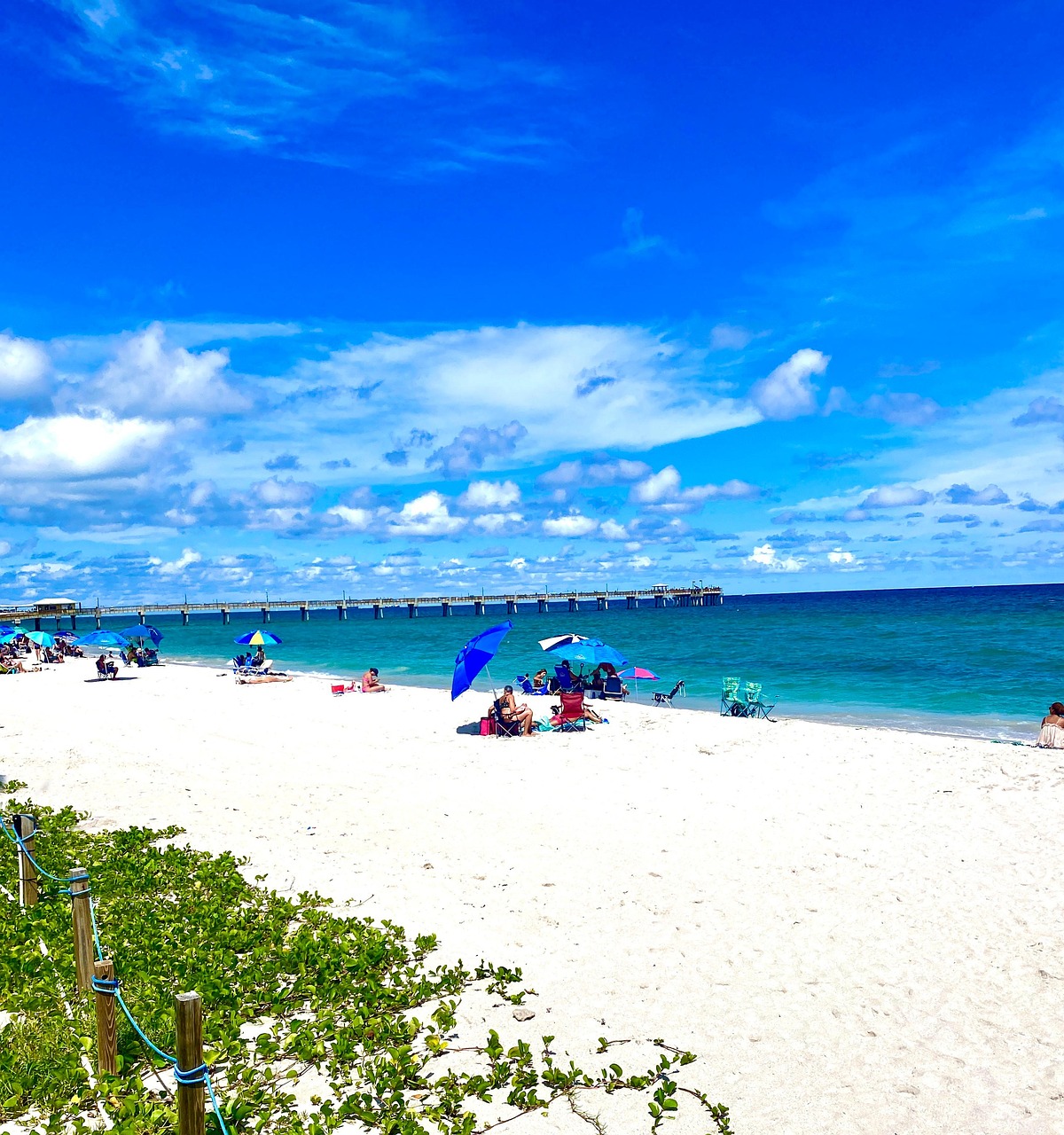 Florida Miami Strand - Kostenloses Foto auf Pixabay - Pixabay