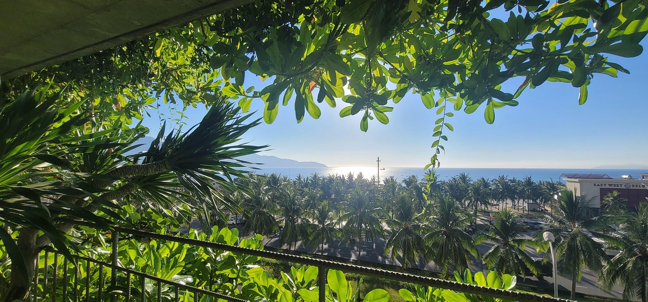 Da Nang Vietnam Nature - Free photo on Pixabay - Pixabay