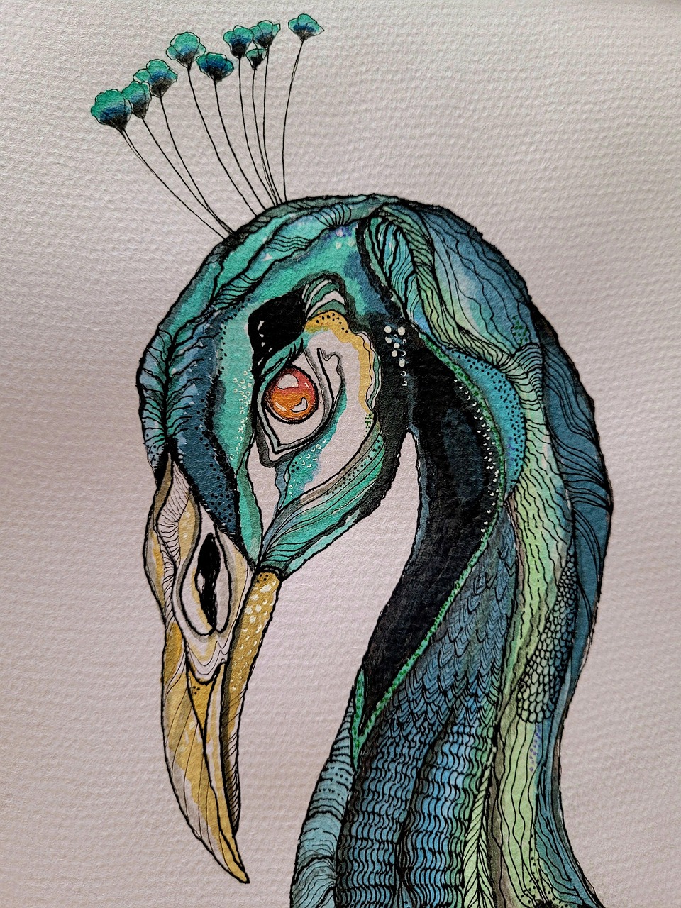 Disegno Di Pavone Colorato
