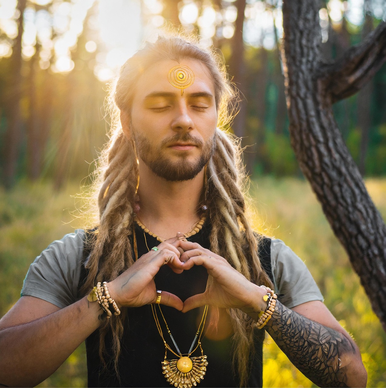Download Shaman, Healer, Heal. Royalty-Free Stock Illustration Image ...