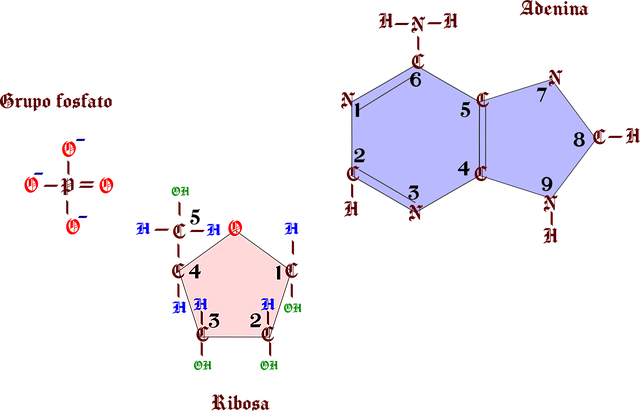 Adn Molécula Grupo Fosfato - Imagen gratis en Pixabay