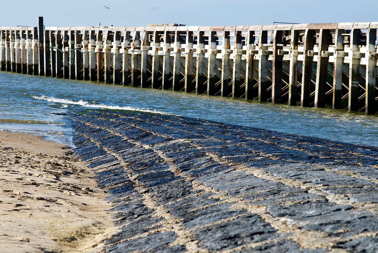 Lugworm Sea Free Photo On Pixabay Pixabay