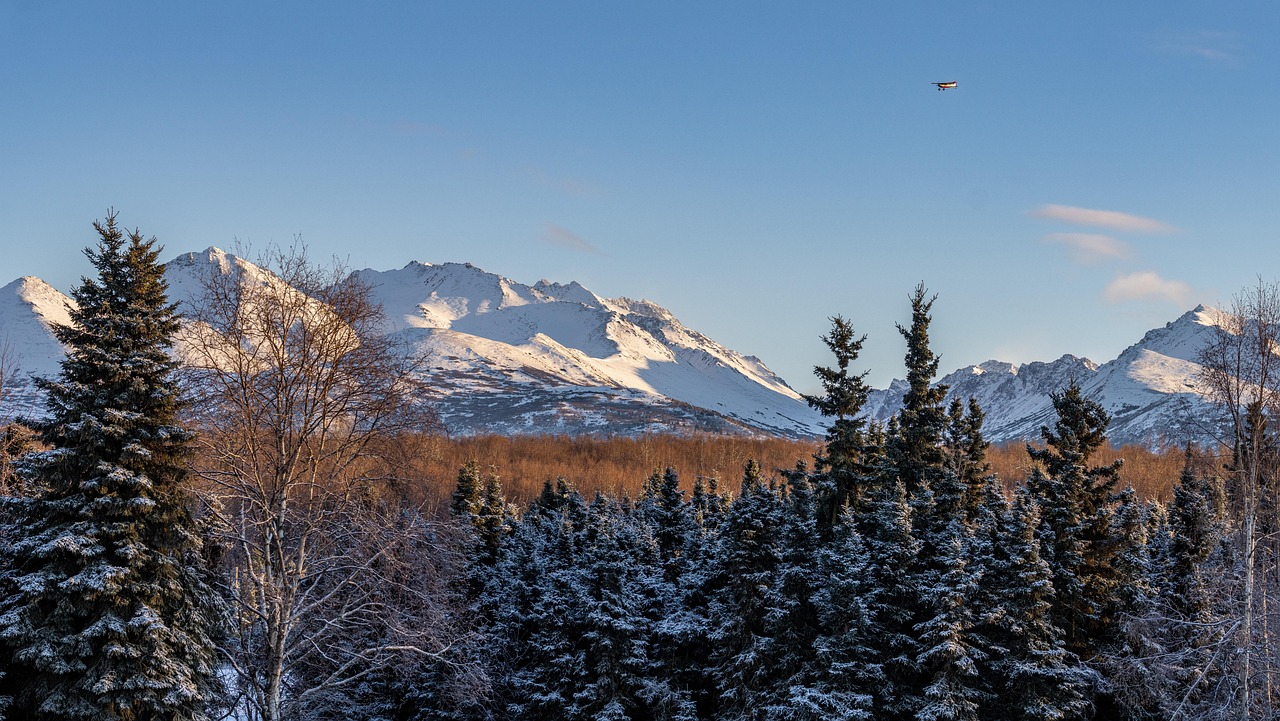 Paisaje De Alaska En Invierno 5.622 Alaska In Winter Stock Photos,