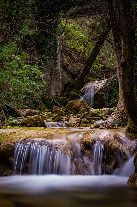 Foto Wasserfall Wald - Kostenloses Foto auf Pixabay - Pixabay