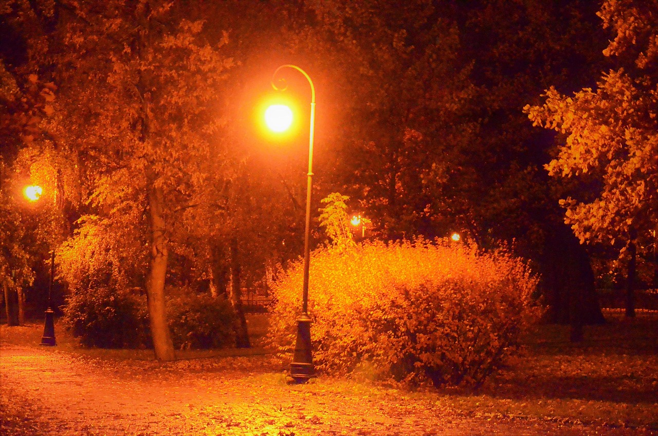 Park Nacht Licht - Kostenloses Foto auf Pixabay - Pixabay