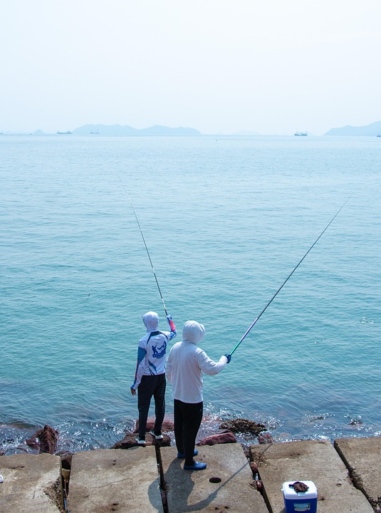 Memancing Di Laut Penangkapan Ikan - Foto gratis di Pixabay - Pixabay