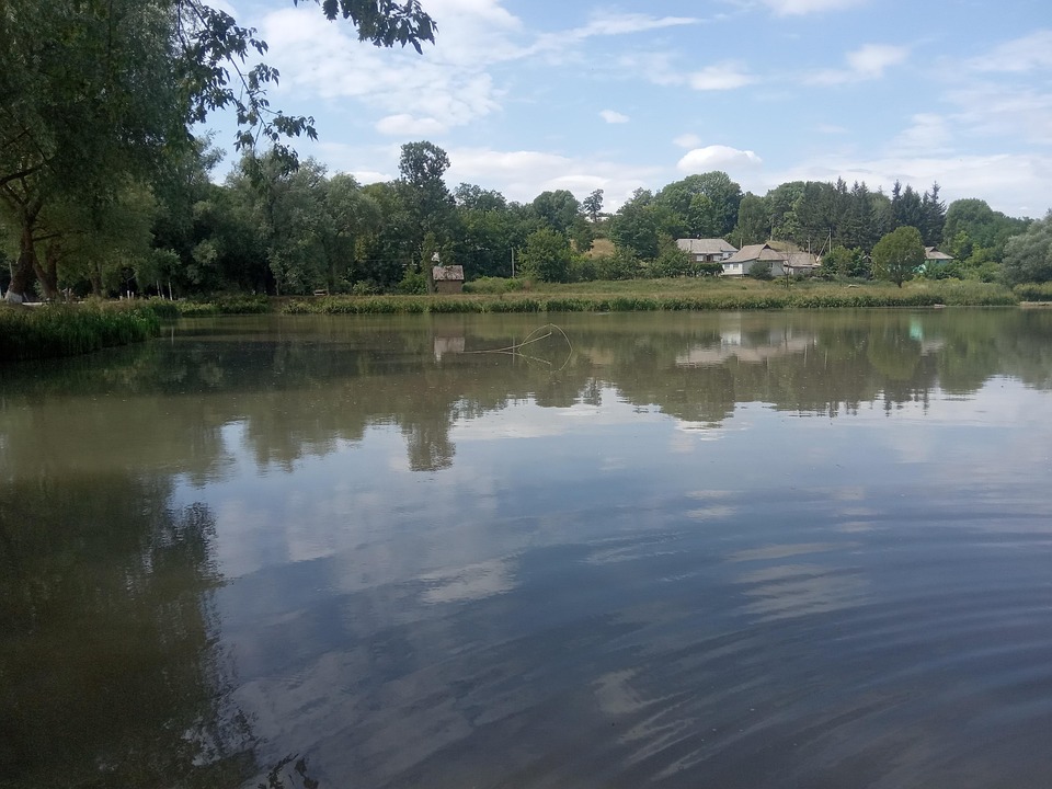River Water Nature Free Photo On Pixabay Pixabay