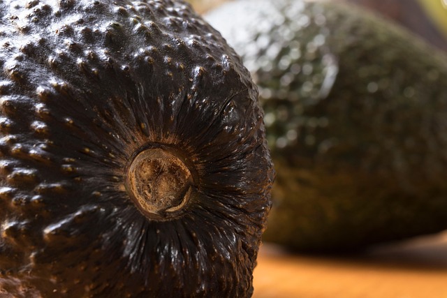 Avocado Reif Baumfrucht - Kostenloses Foto auf Pixabay - Pixabay