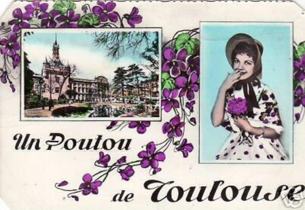 Toulouse Poutou Occitanie - Free photo on Pixabay - Pixabay